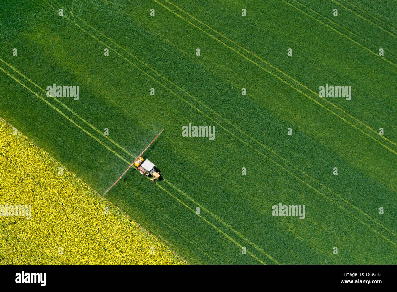 Aerial view of farming tractor plowing and spraying on field ...