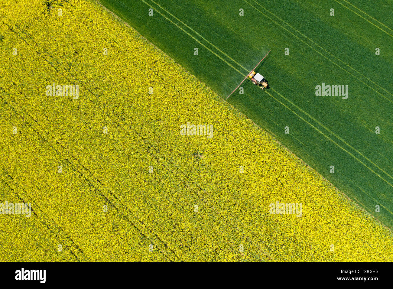 Aerial view of farming tractor plowing and spraying on field ...