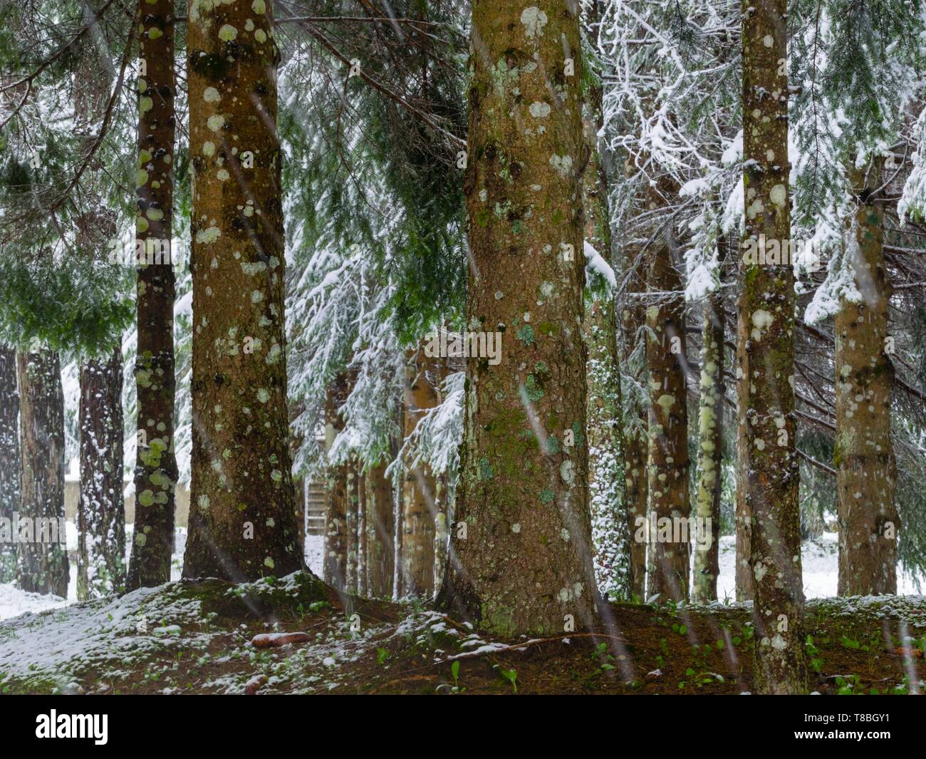 Sparse photos hi-res stock photography and images - Alamy