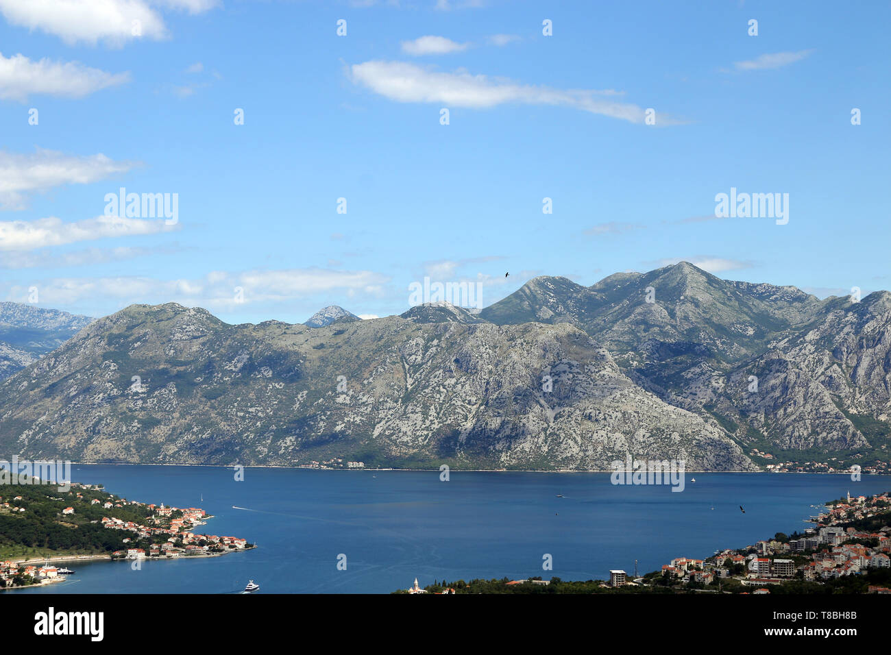 Bay of Kotor in summer Montenegro landscape Stock Photo - Alamy