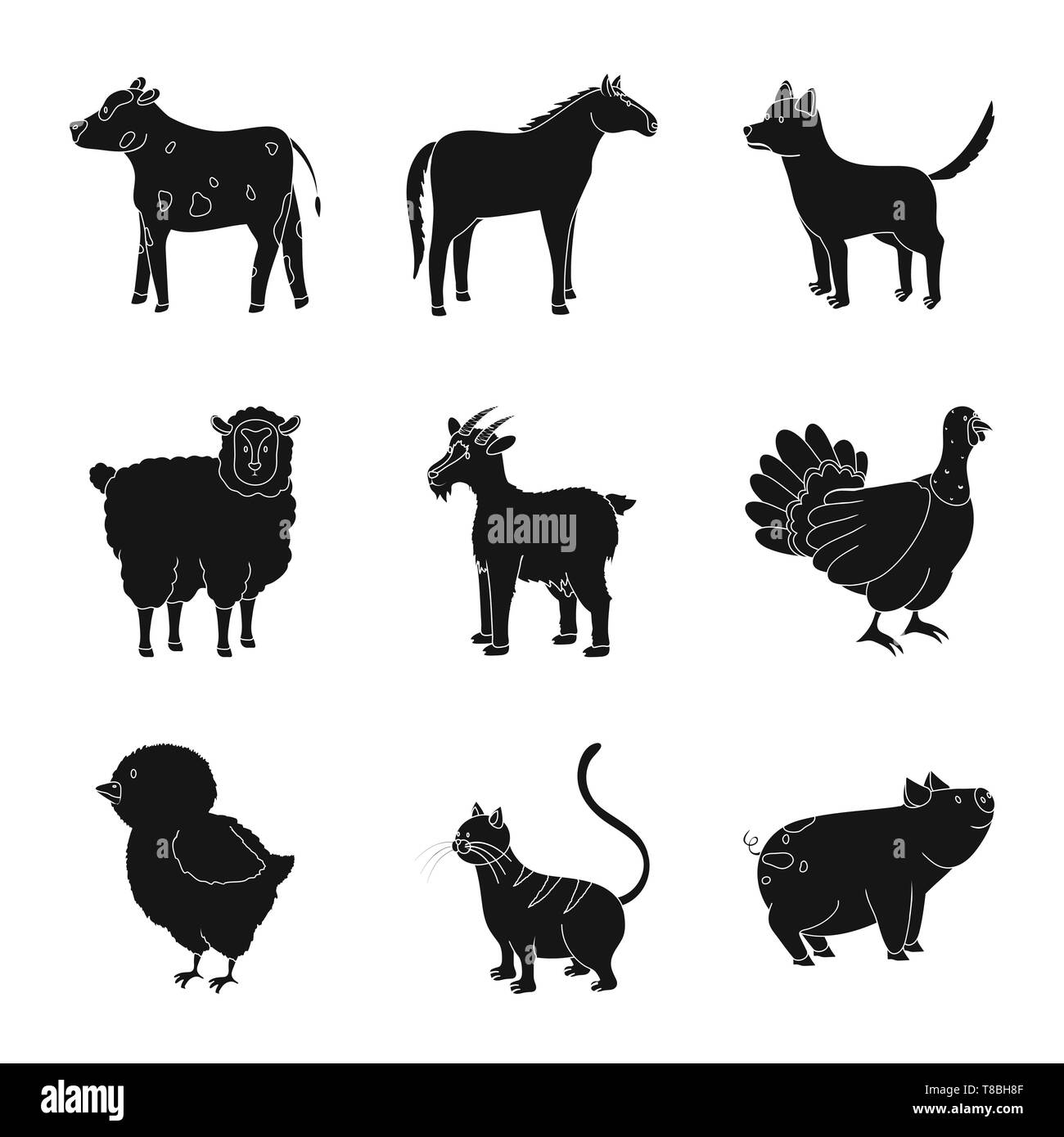 Horse And Cow And Pig And Chicken High Resolution Stock Photography and ...