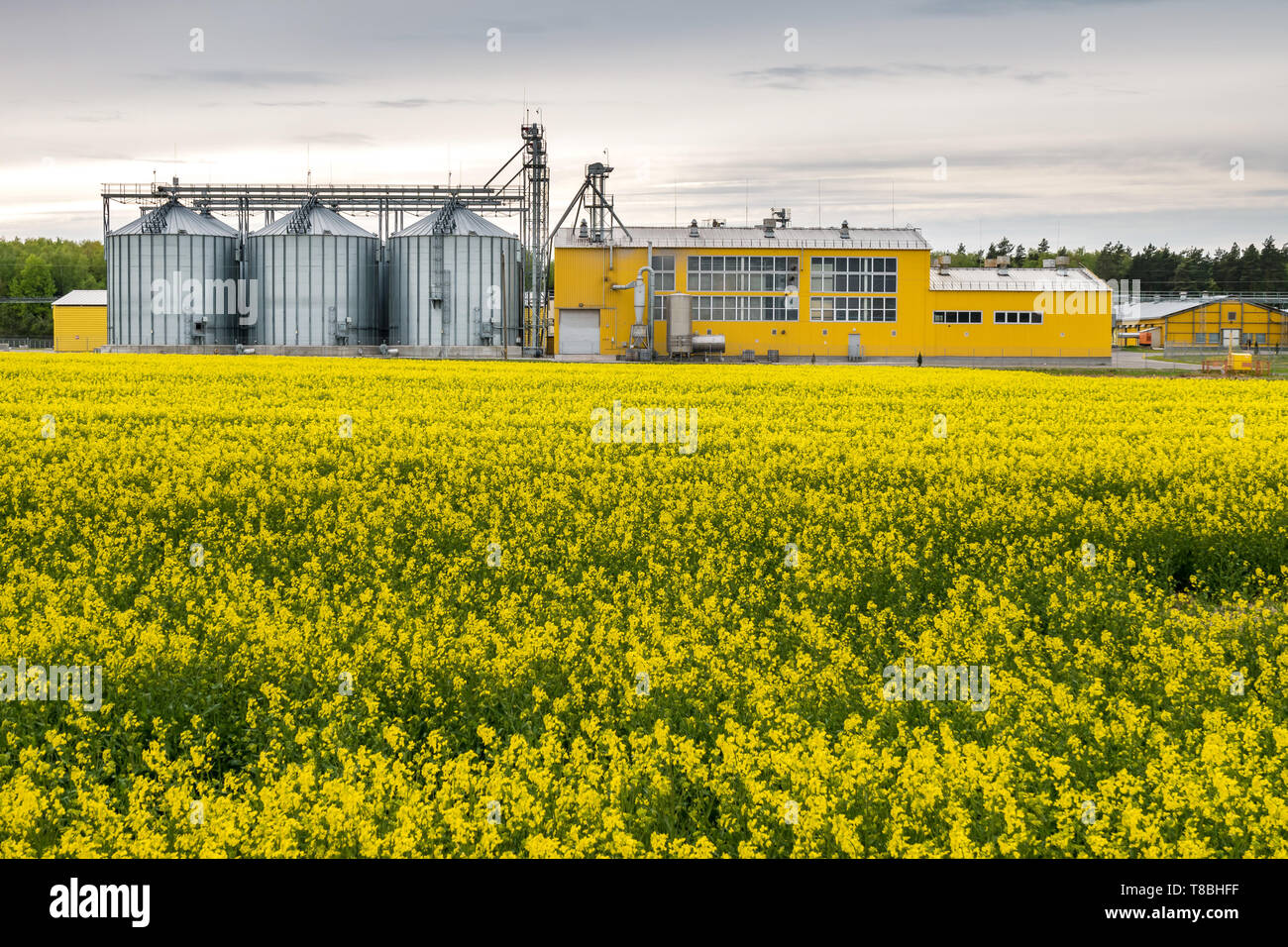 Agro processing hi-res stock photography and images - Alamy