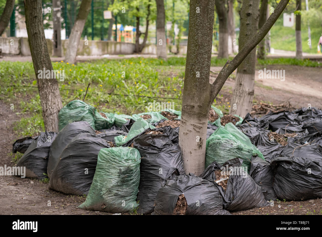 Trash bags on the garden ground floor at the park with green nature ...