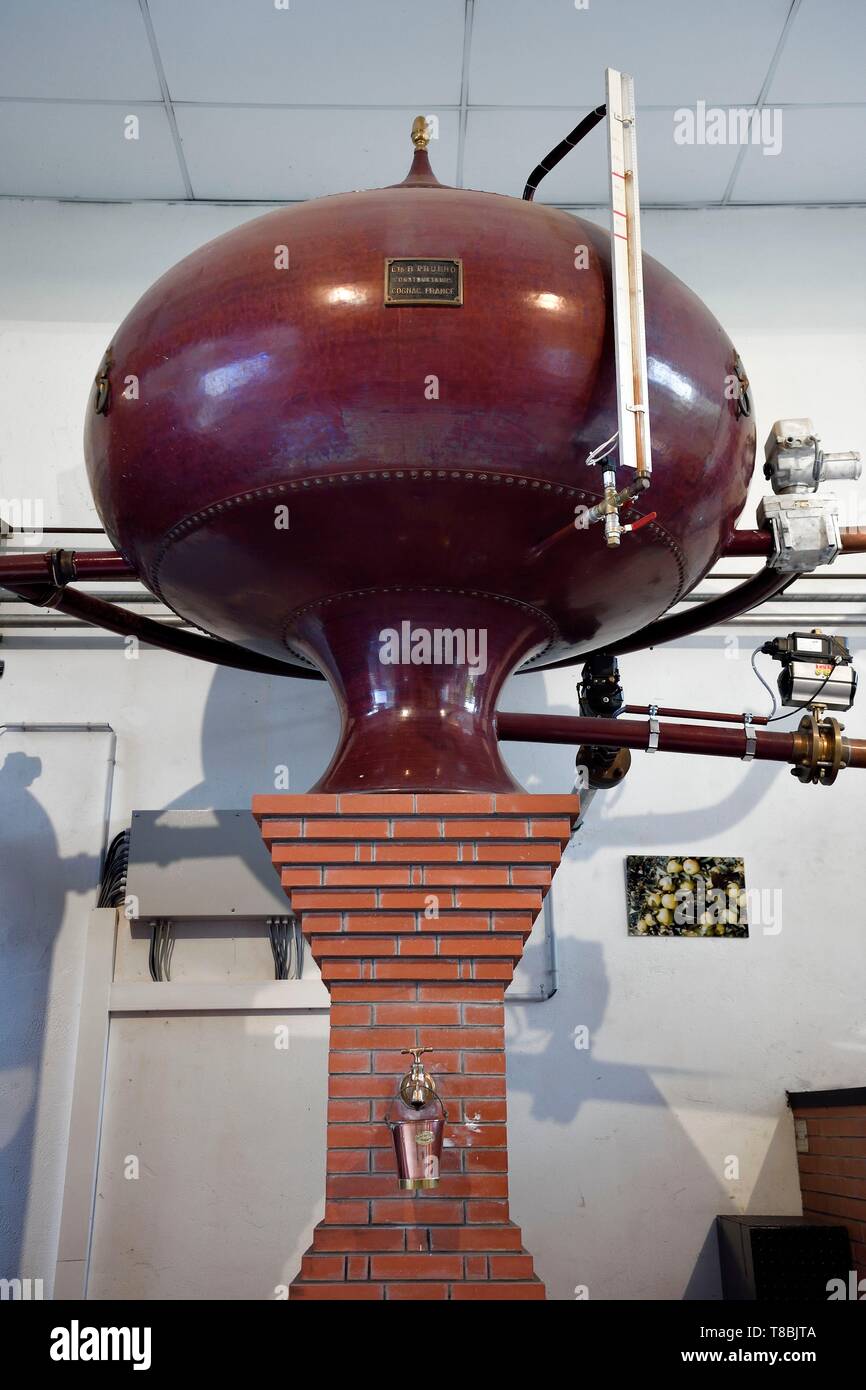 Cognac distillery france hi-res stock photography and images - Alamy