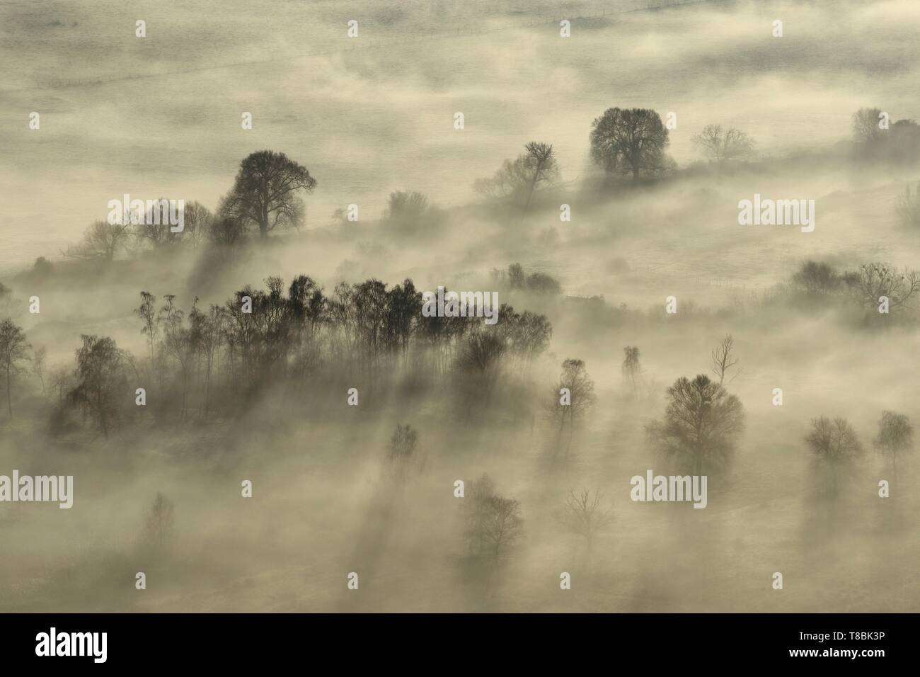 Riviere la seine hi-res stock photography and images - Alamy