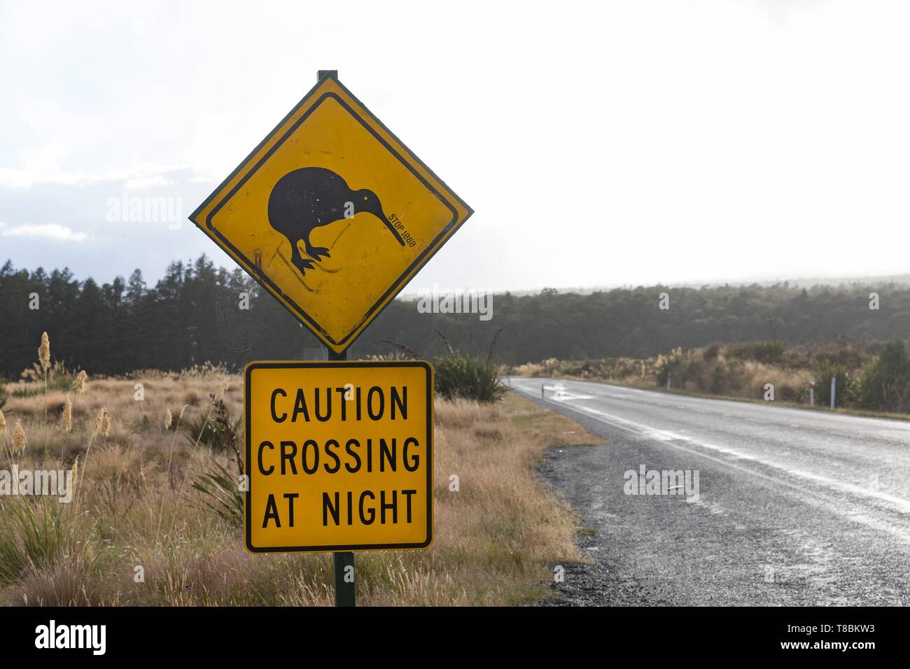 New Zealand, North Island, Waikato region, Tongariro National Park ...