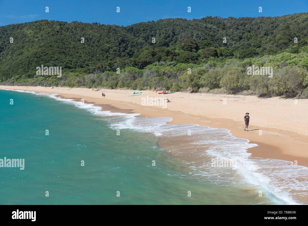 New Zealand, South Island, Tasman region, Abel Tasman National Park ...
