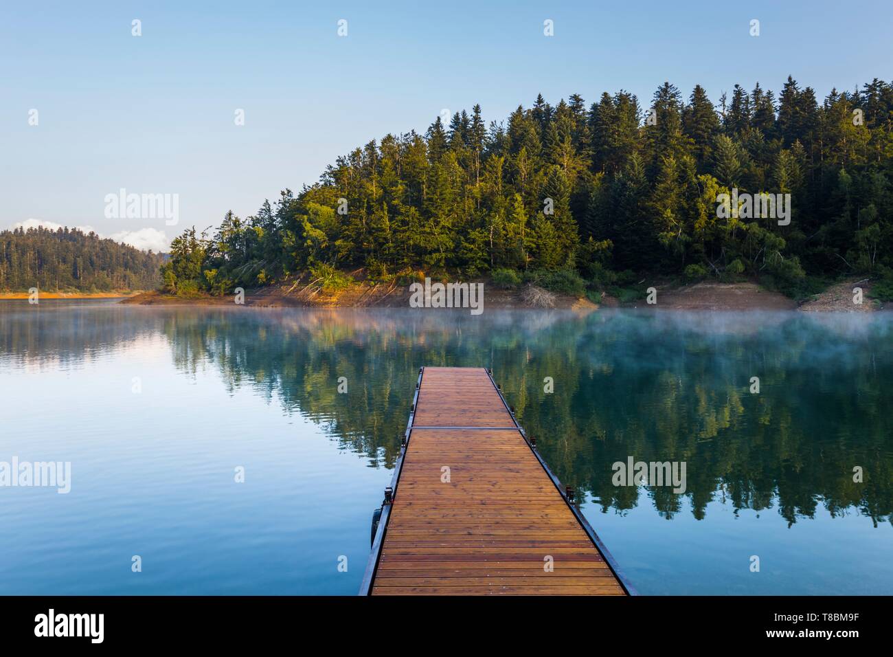 Wooden quay raising morning mist Green forest and lake Kocevje near ...