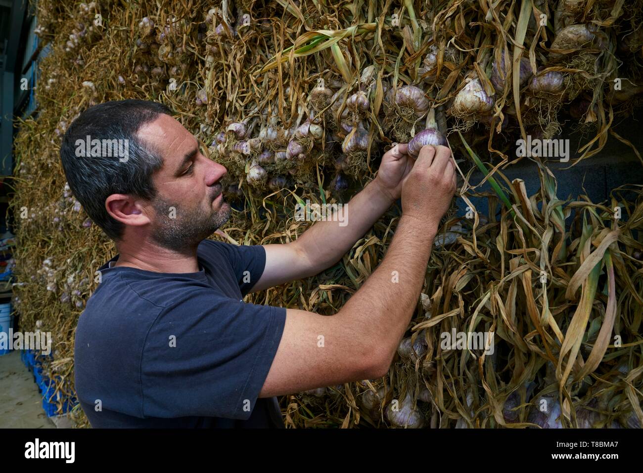 Cadours hi-res stock photography and images - Alamy