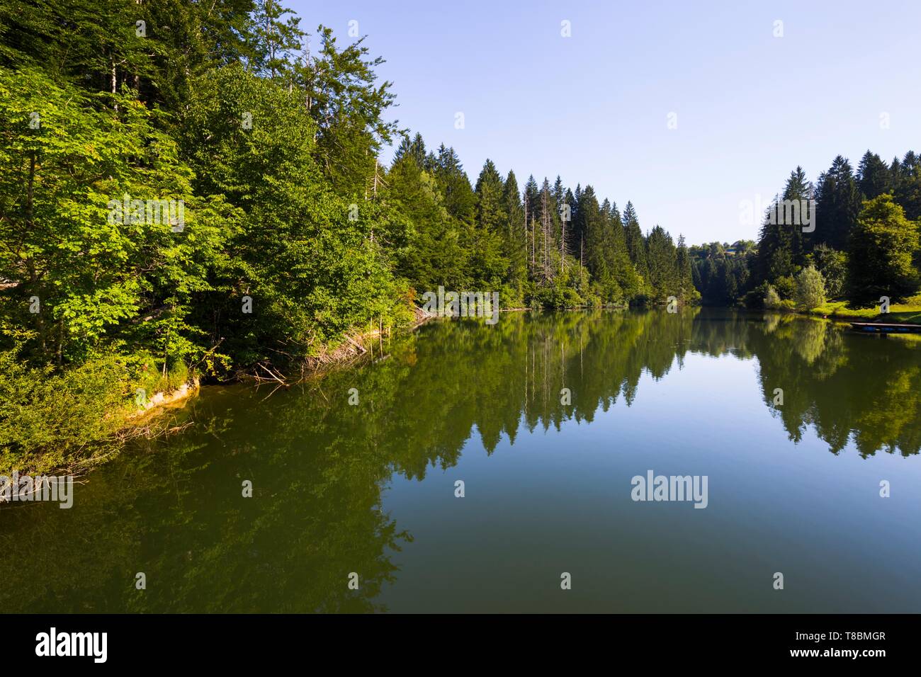 Kocevje hi-res stock photography and images - Alamy