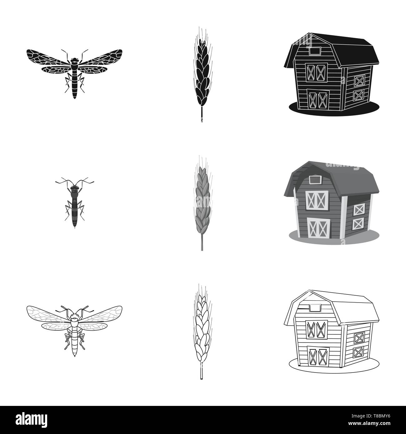 fly,spring,granary,insect,spike,building,pest,durum,industry,control ...