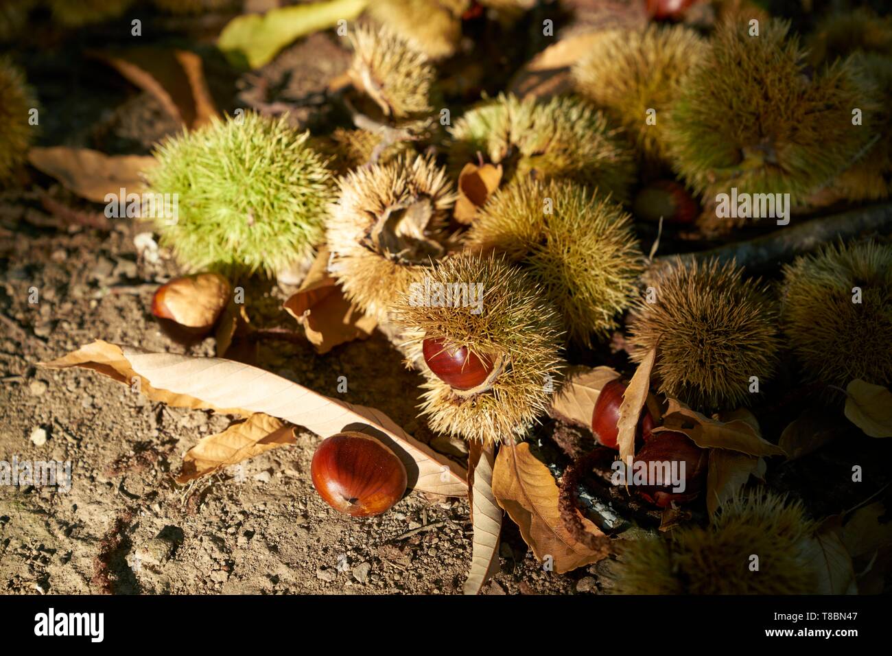 Welcome to the farm hi-res stock photography and images - Alamy