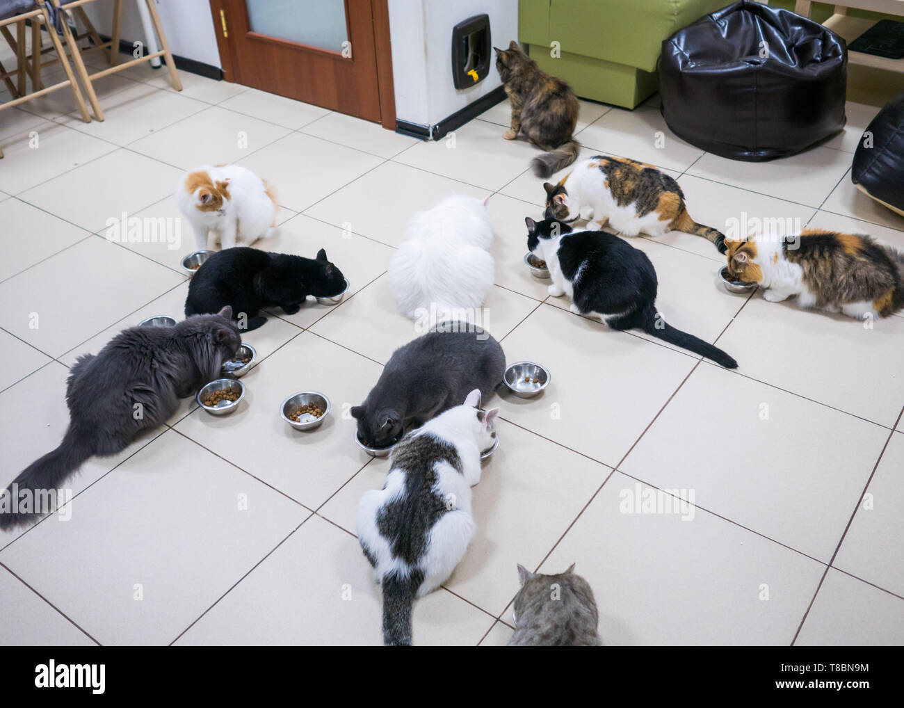 Dish group hi-res stock photography and images - Alamy
