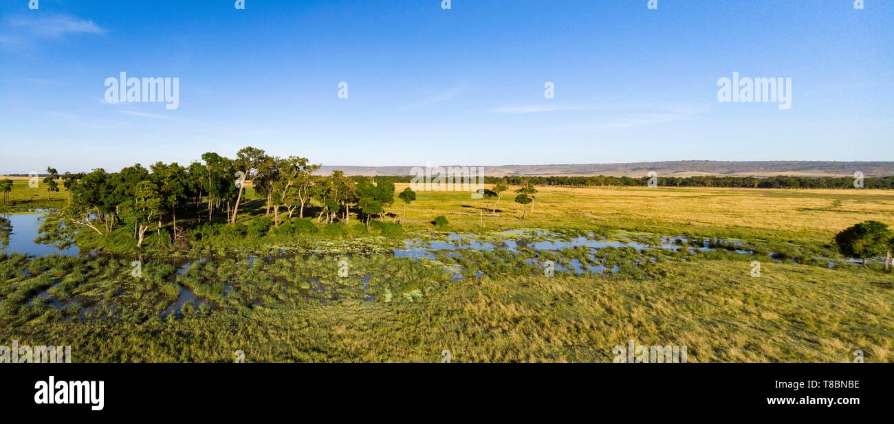 Kenya, Masai Mara Game Reserve, Musiara marsh from a drone Stock Photo ...