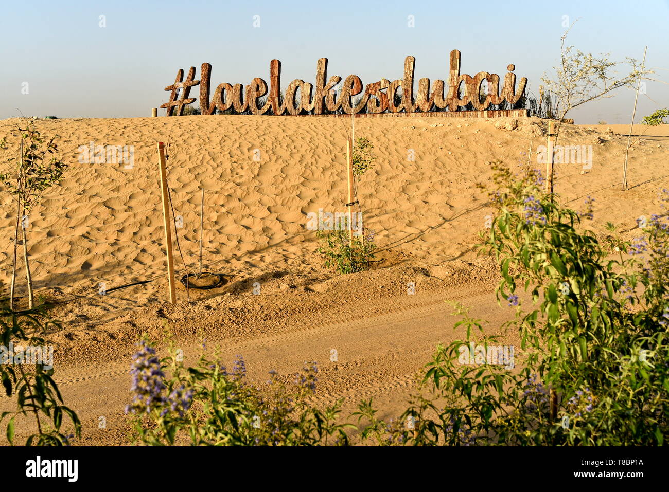 Love lake at Al Qudra, Manmade Lake at the Al Qudra Desert, Dubai ...