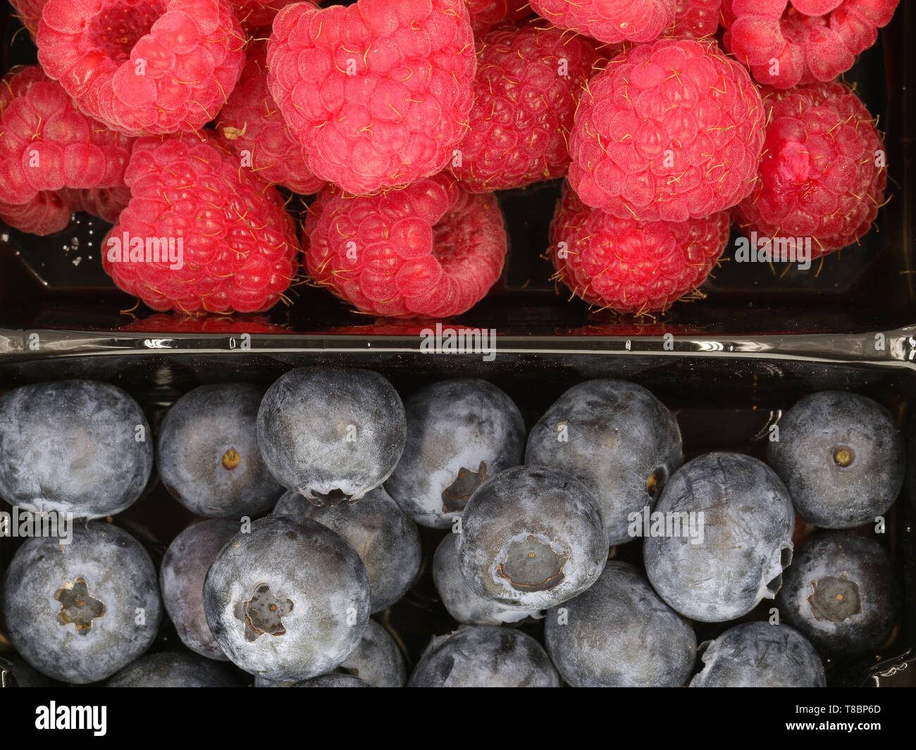 top view of blueberries and raspberries divided horizontally, two types ...