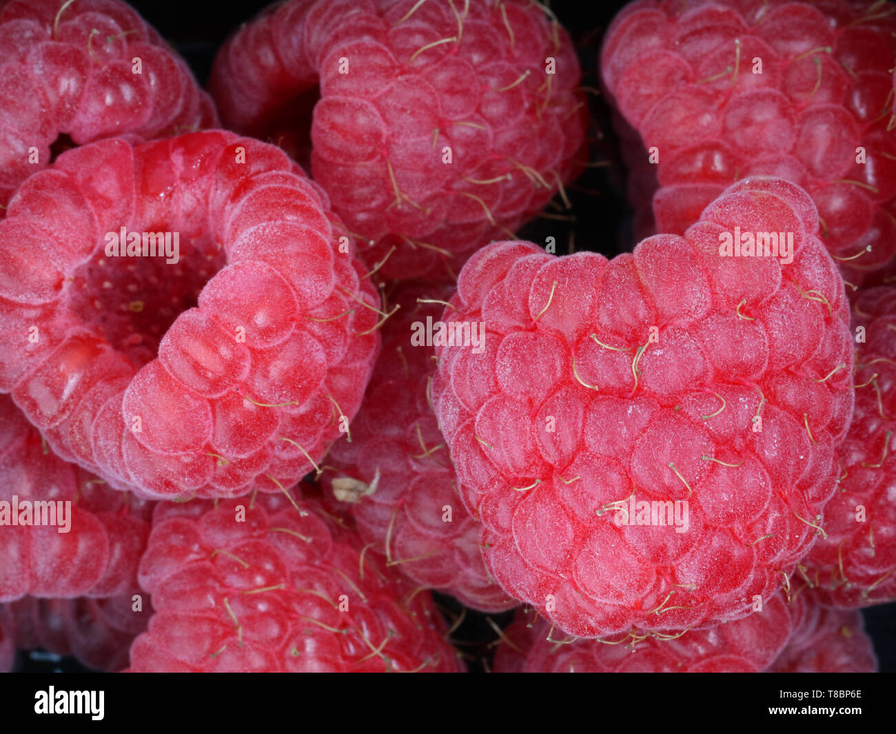 Raspberries background hi-res stock photography and images - Alamy