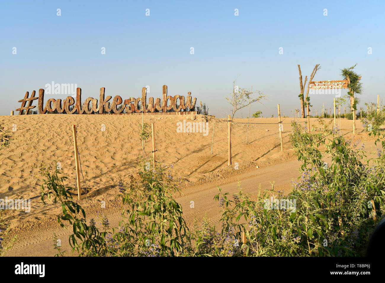 Love lake at Al Qudra, Manmade Lake at the Al Qudra Desert, Dubai ...