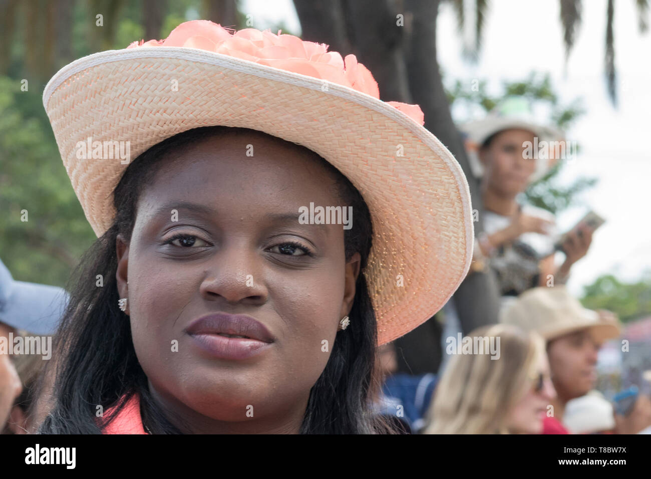 Viewing the flower hi-res stock photography and images - Alamy