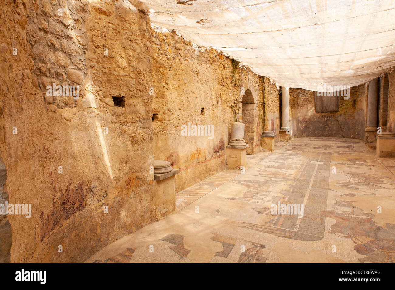 The Circus Maximus mosaic from the two-apse room in the villa’s bathing ...