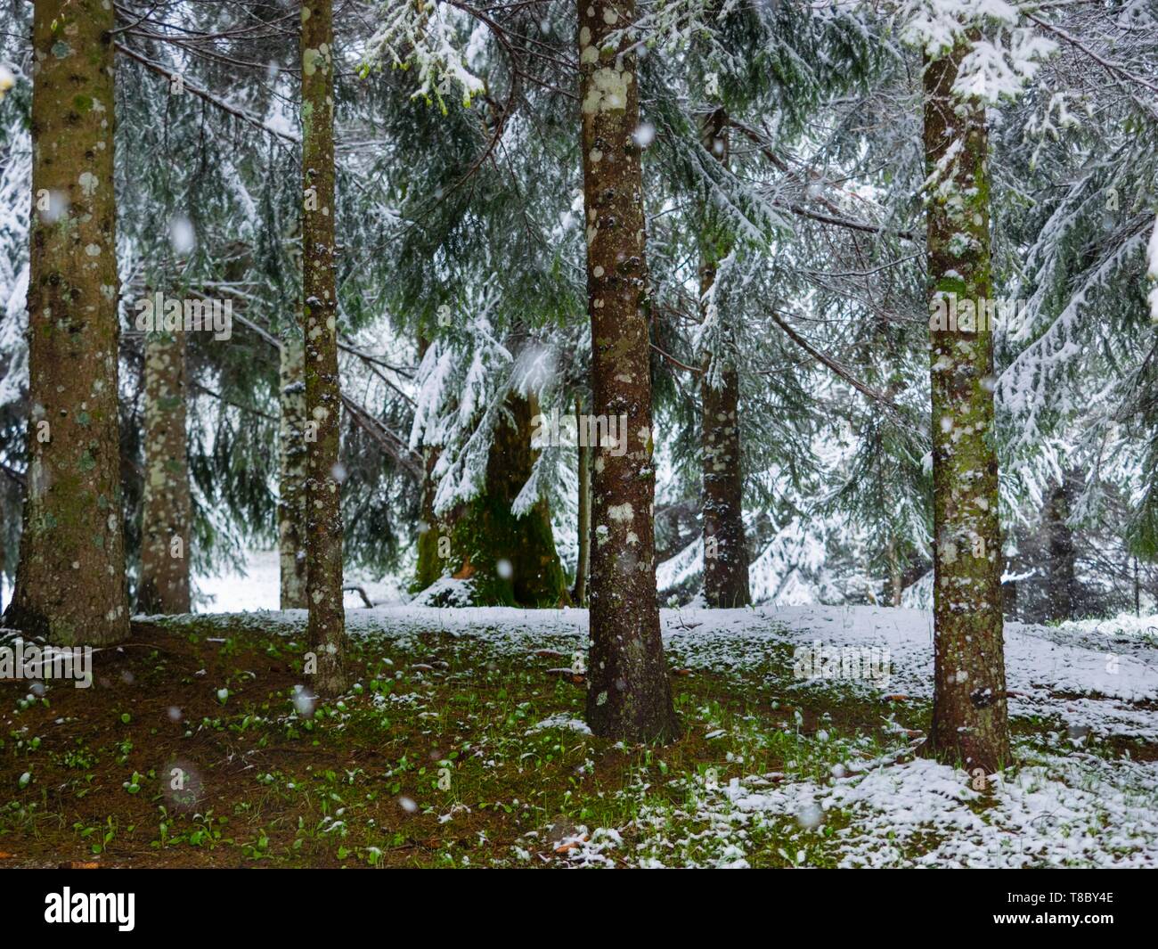 Sparse Photos High Resolution Stock Photography and Images - Alamy