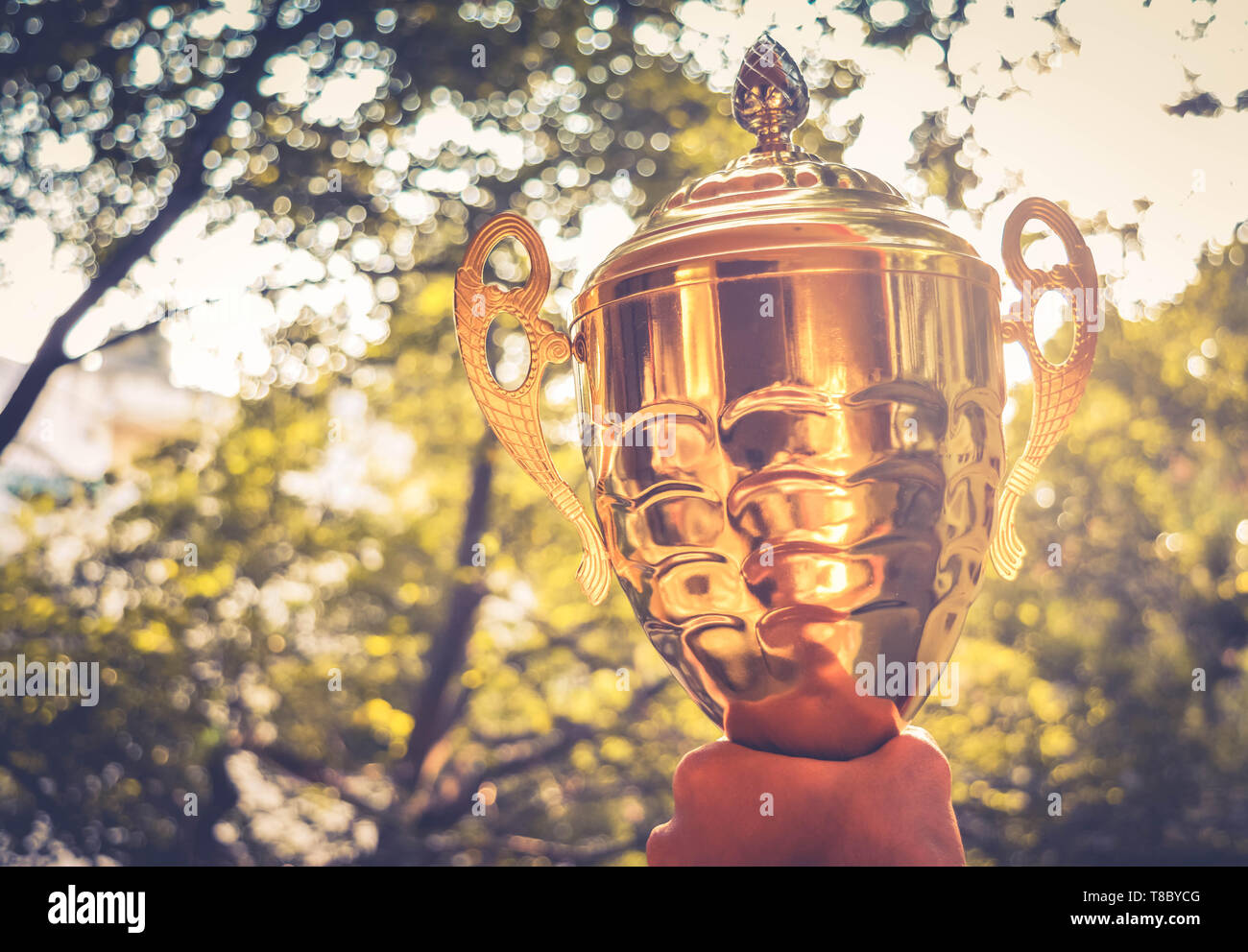 Take trophy hi-res stock photography and images - Alamy