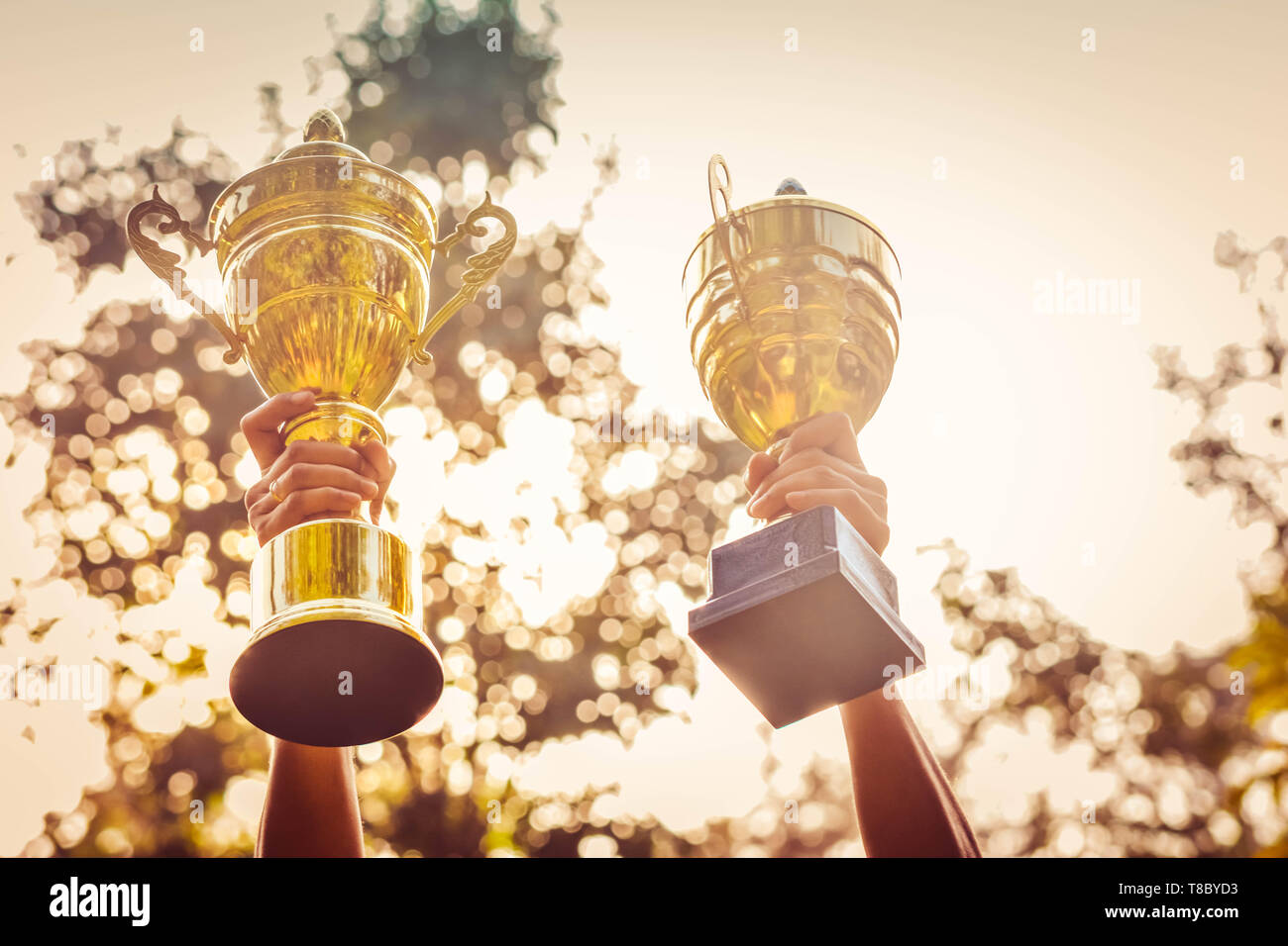 Take trophy hi-res stock photography and images - Alamy