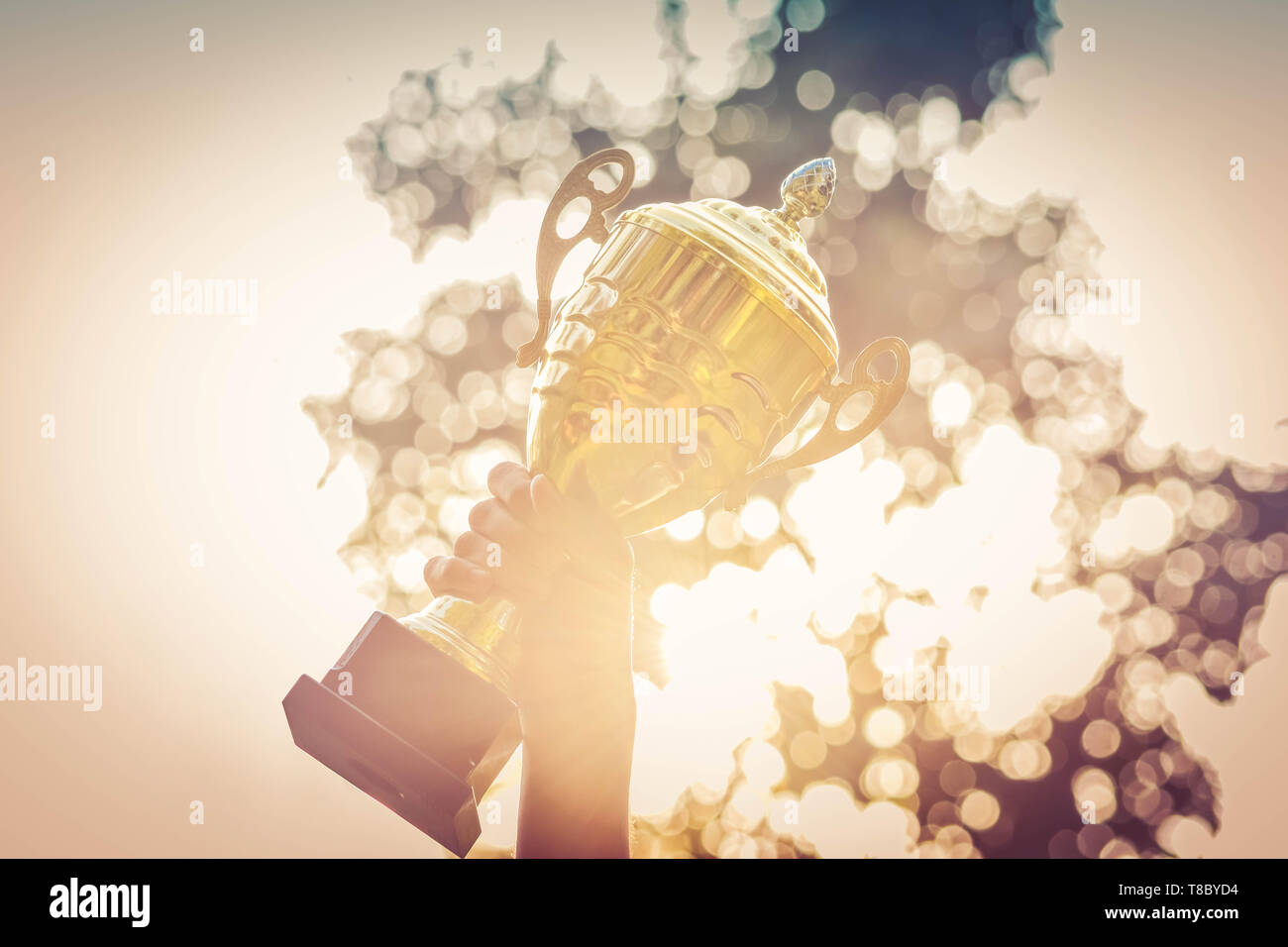 Take trophy hi-res stock photography and images - Alamy