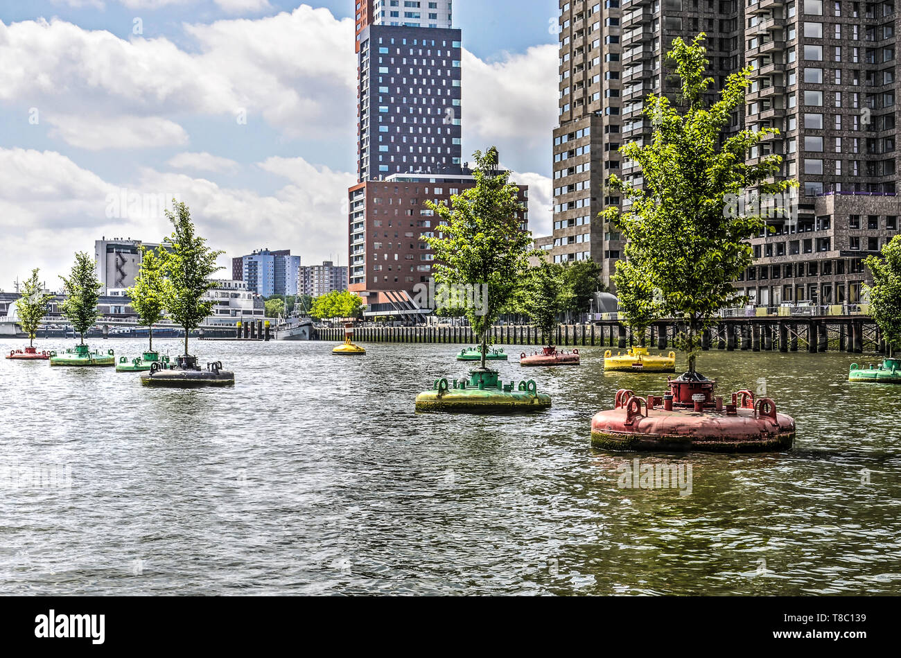 Rotterdam, The Netherlands, June 17, 2017: floating forest, with trees ...