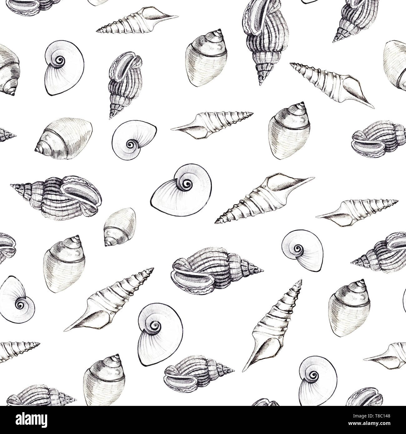 Seamless pattern of sea shells on white background. Manual graphics ...