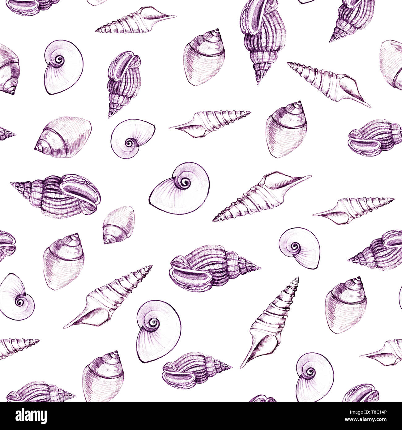 Seamless pattern of sea shells on white background. Manual graphics ...
