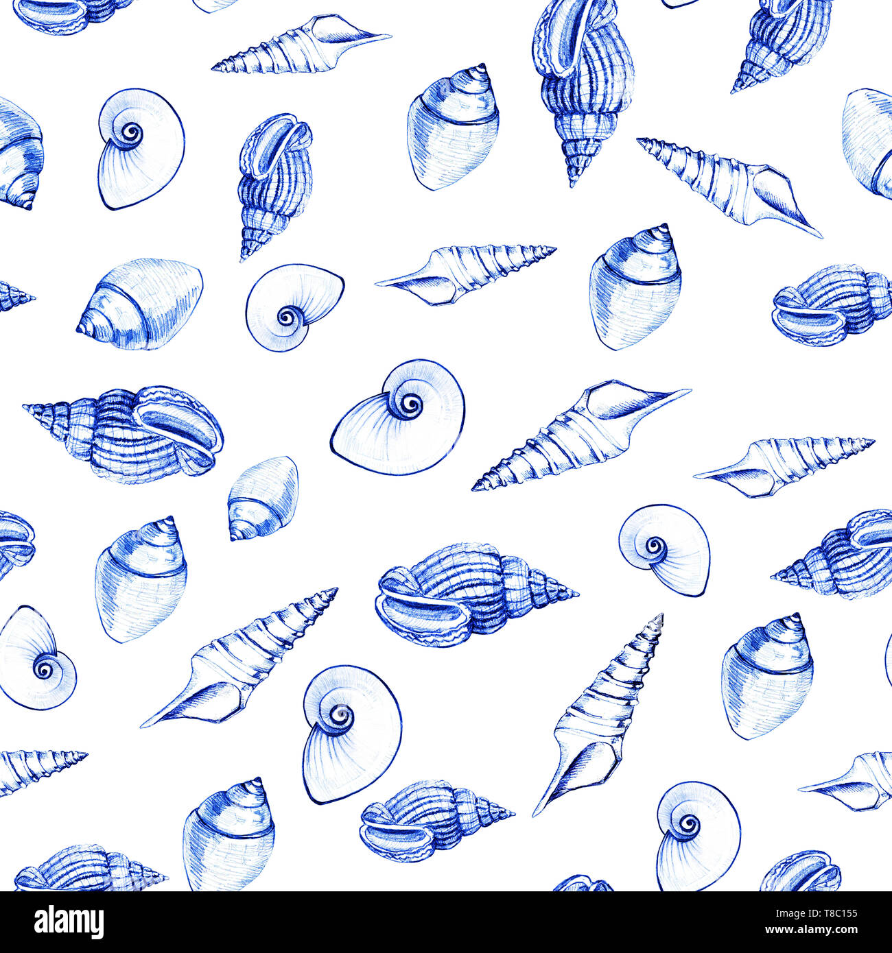 Seamless pattern of sea shells on white background. Manual graphics ...