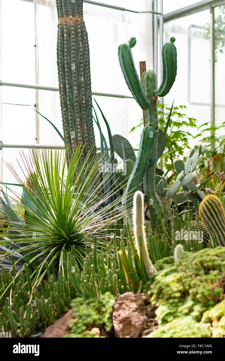 Novy Dvur, Oprava, Czech Republic, 26 April 2019 - Greenhouse at ...