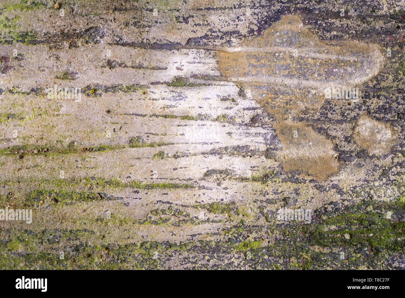 Rustic tiles hi-res stock photography and images - Alamy