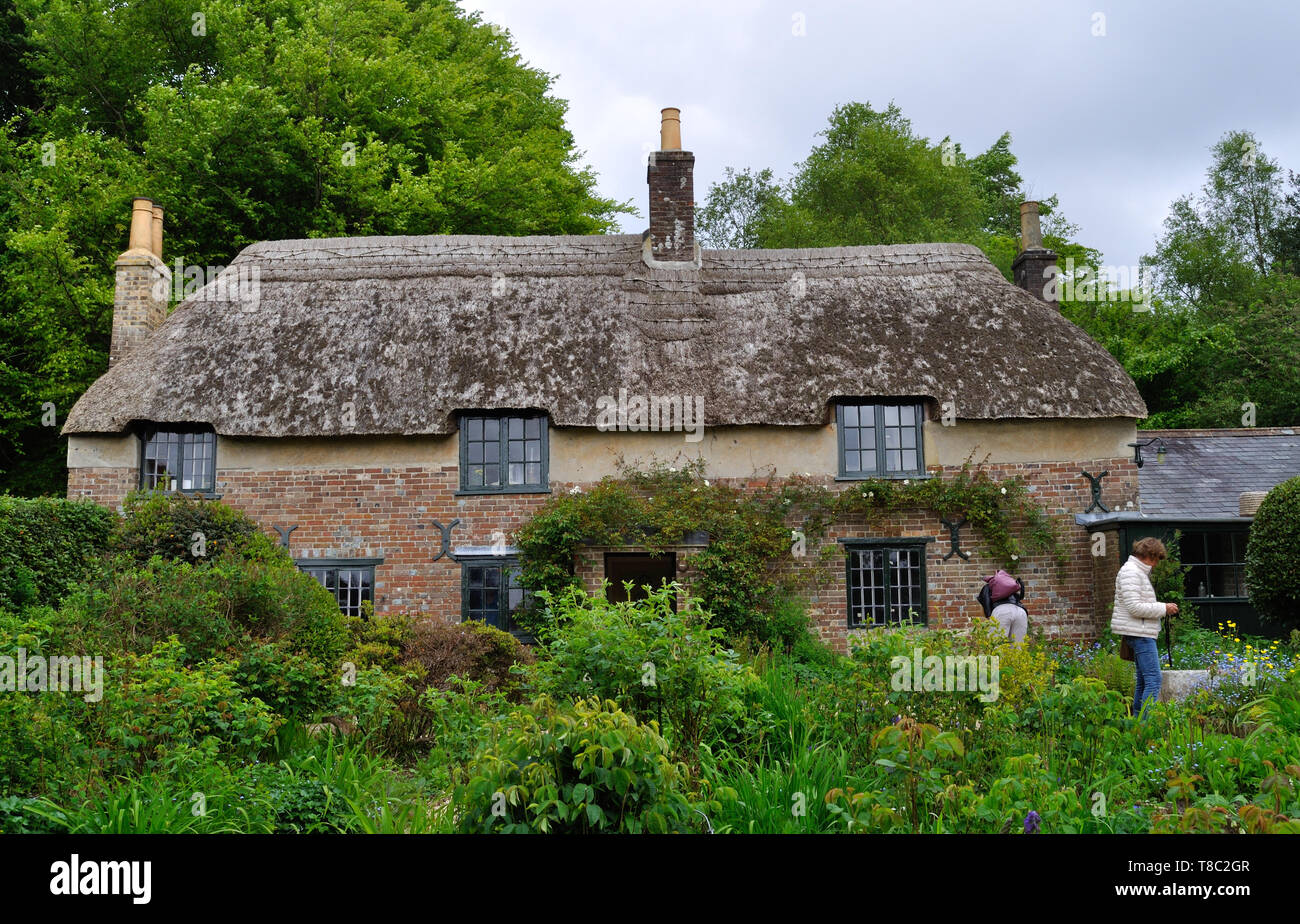 Higher bockhampton hardy hi-res stock photography and images - Alamy