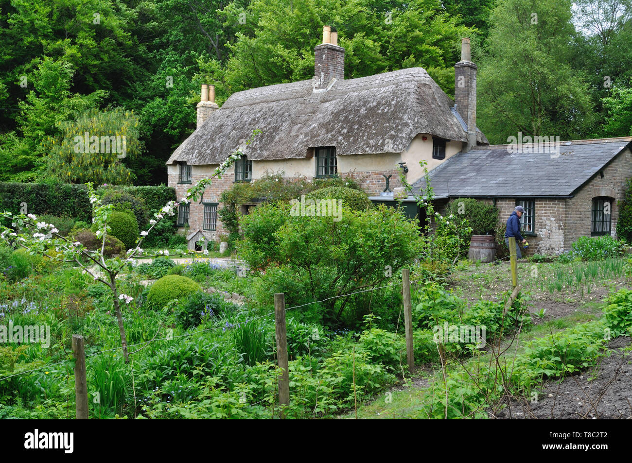 The cottage in Higher Bockhampton, Dorset, where the author Thomas ...