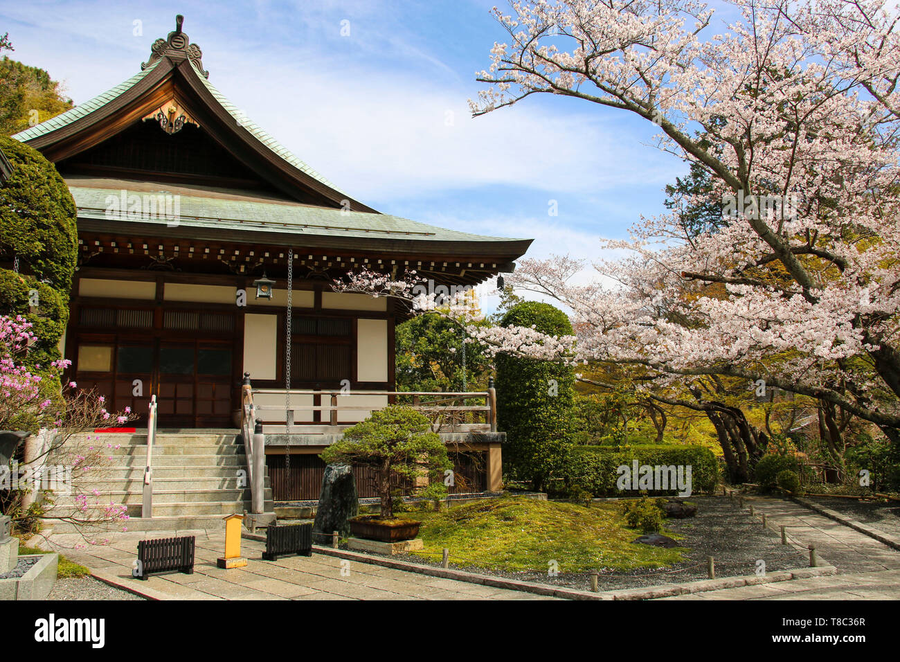 Hokokuji temple (Take-dera temple) is an ancient Buddhist temple and ...