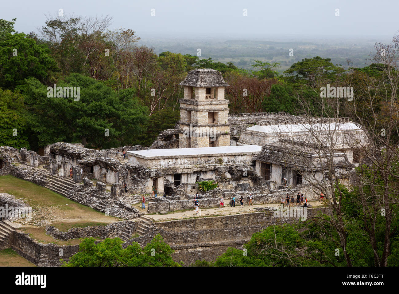 Palenque Mexico - view of the Palace in the centre of the ruined mayan ...