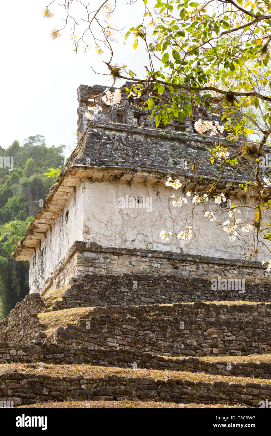 Palenque Mexico - Temple of the Sun, part of the Temple of the Cross ...