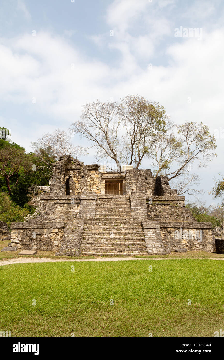 Temple XIV, an ancient ruined mayan temple at the UNESCO World heritage ...