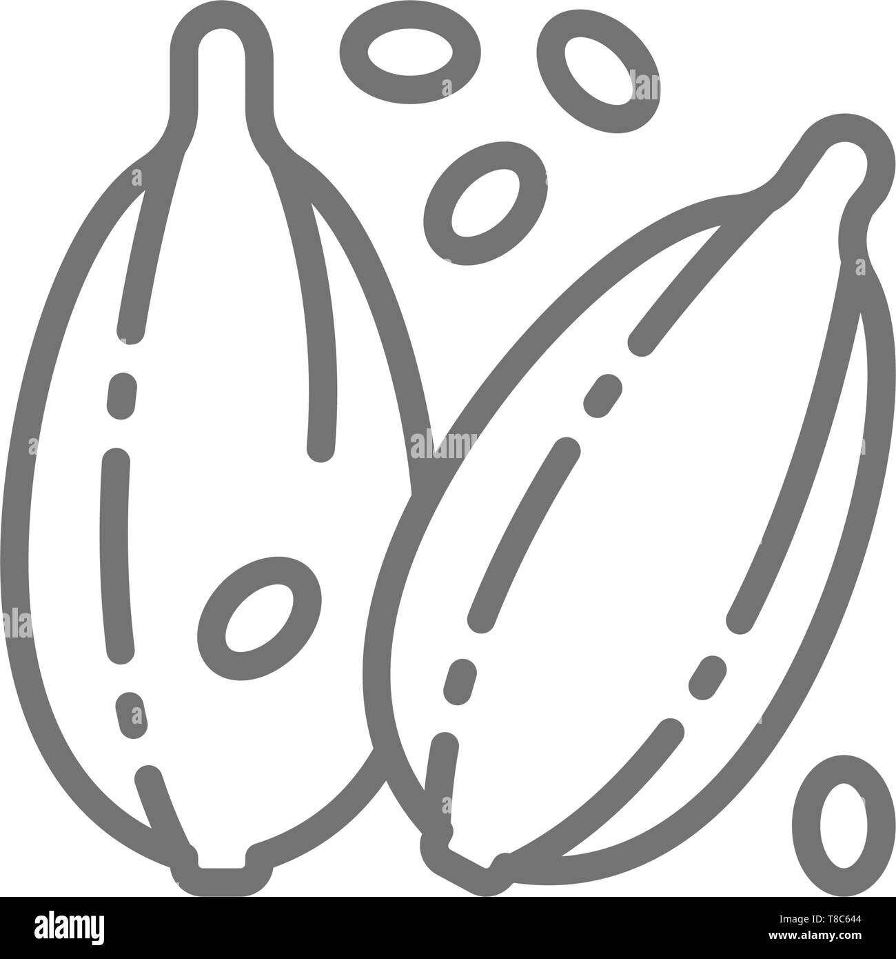 Cardamom, spice line icon. Isolated on white background Stock Vector ...