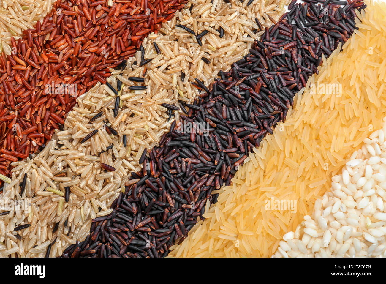 Unhusked rice hi-res stock photography and images - Alamy