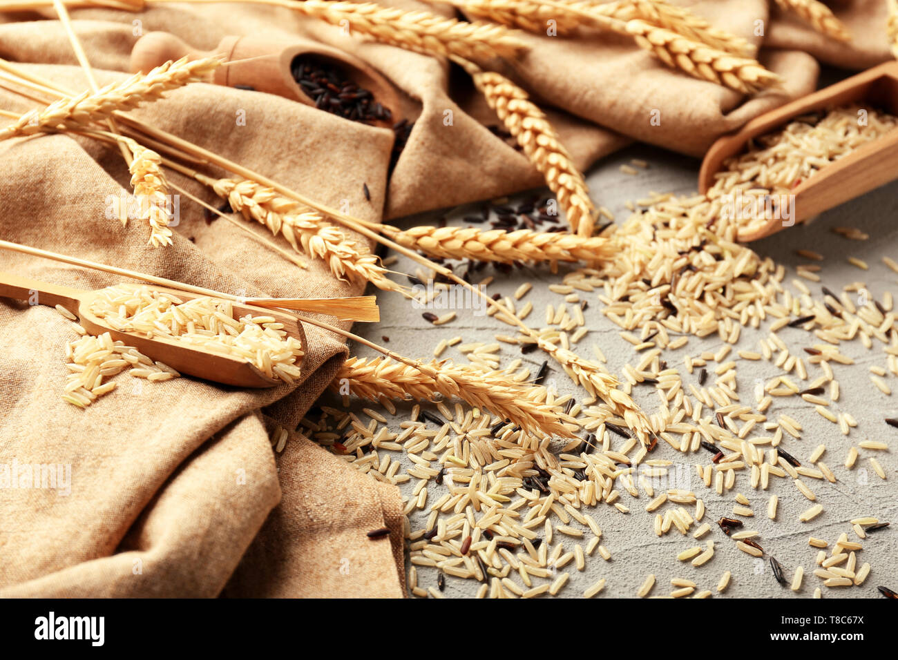 Spikelets of rice hi-res stock photography and images - Alamy