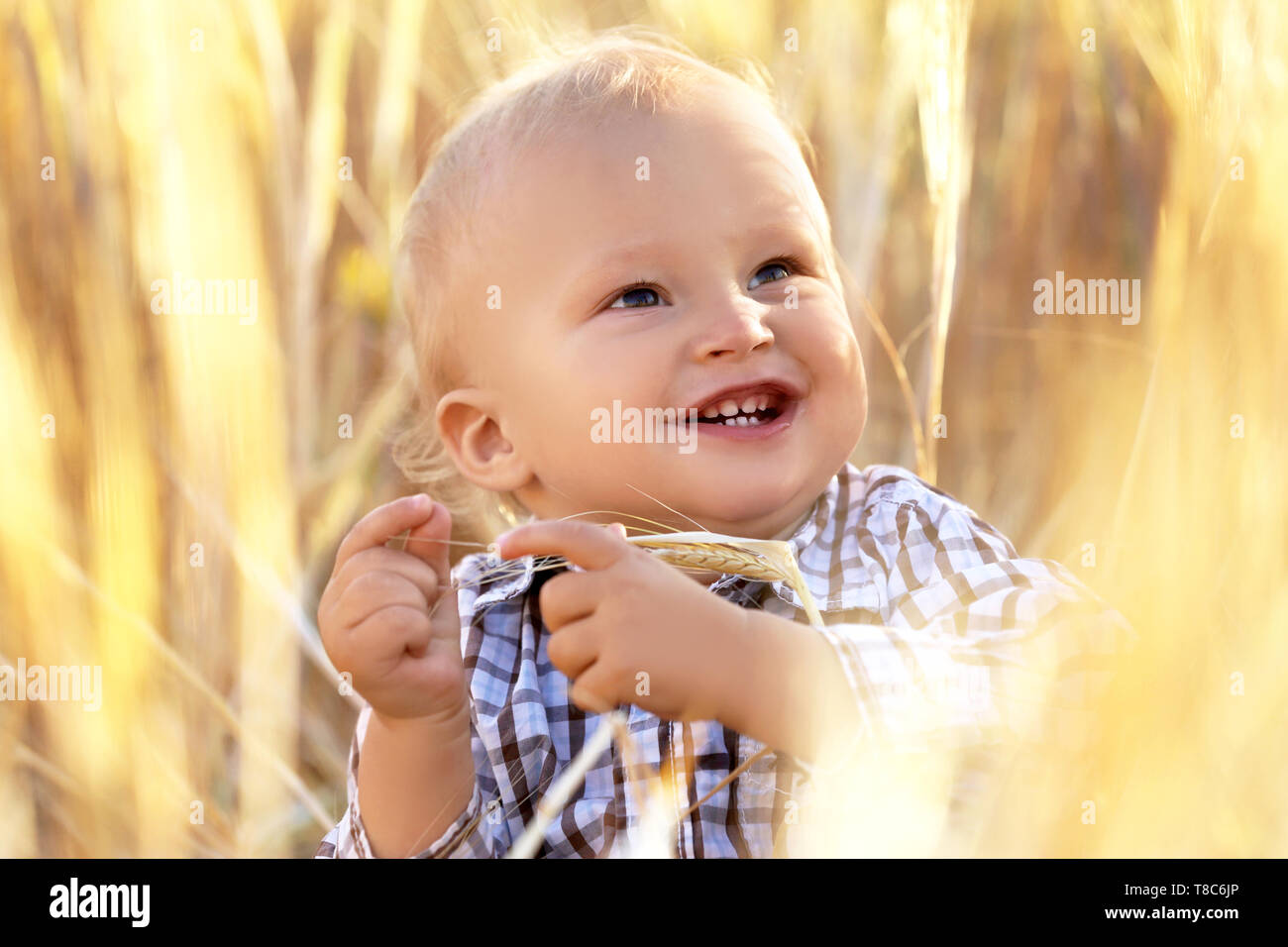 Cute little baby in wheat field on summer day Stock Photo - Alamy