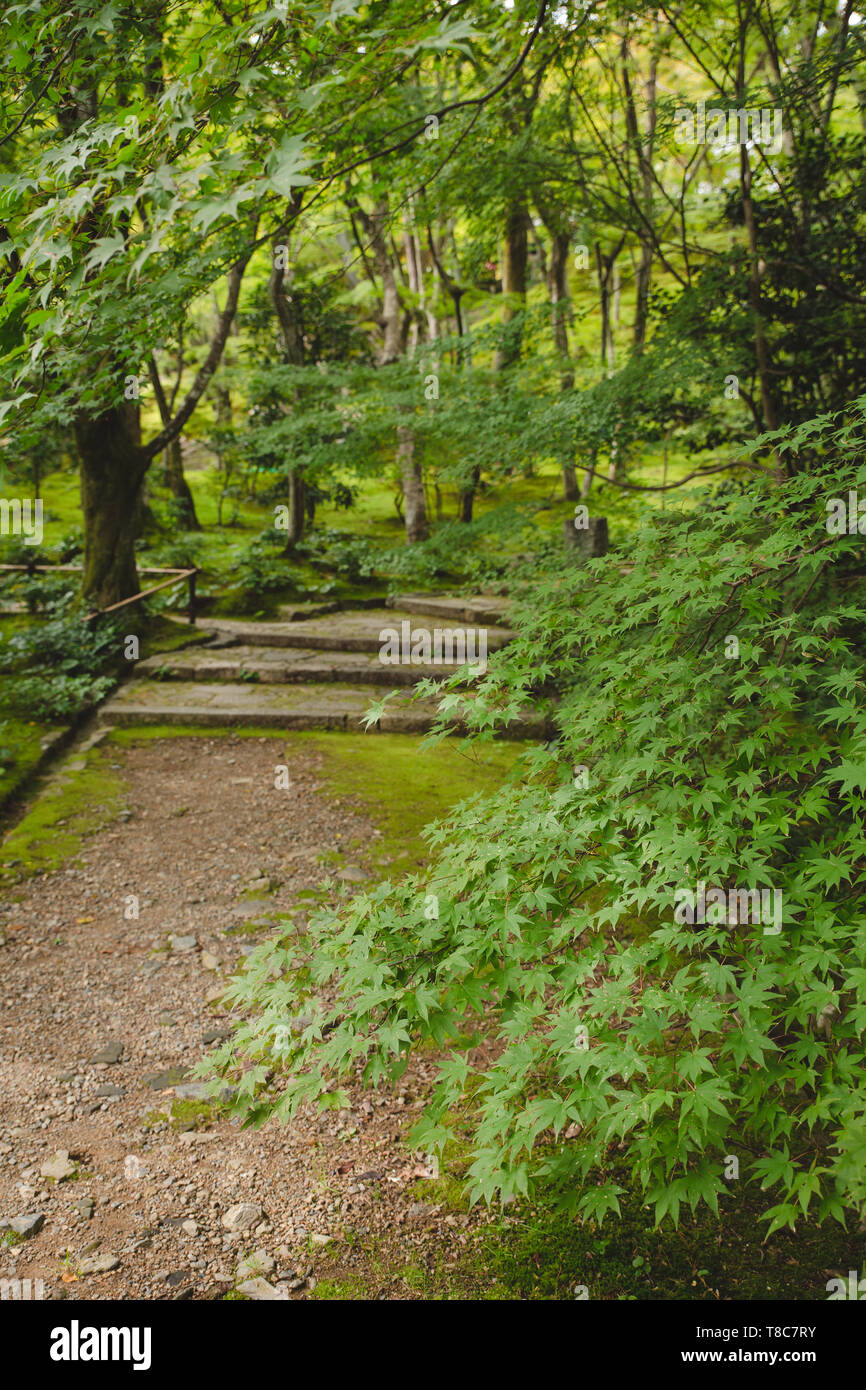 park road in kyoto japan Stock Photo - Alamy