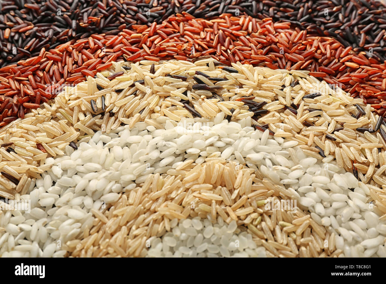Composition with different types of rice, closeup Stock Photo - Alamy