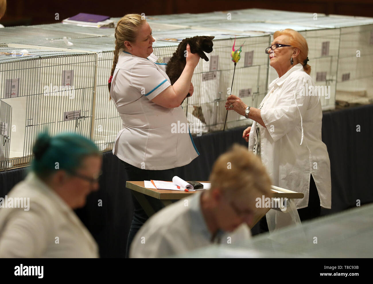 Suzanne hartman hi-res stock photography and images - Alamy