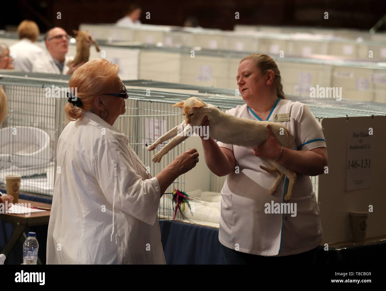 Suzanne hartman hi-res stock photography and images - Alamy