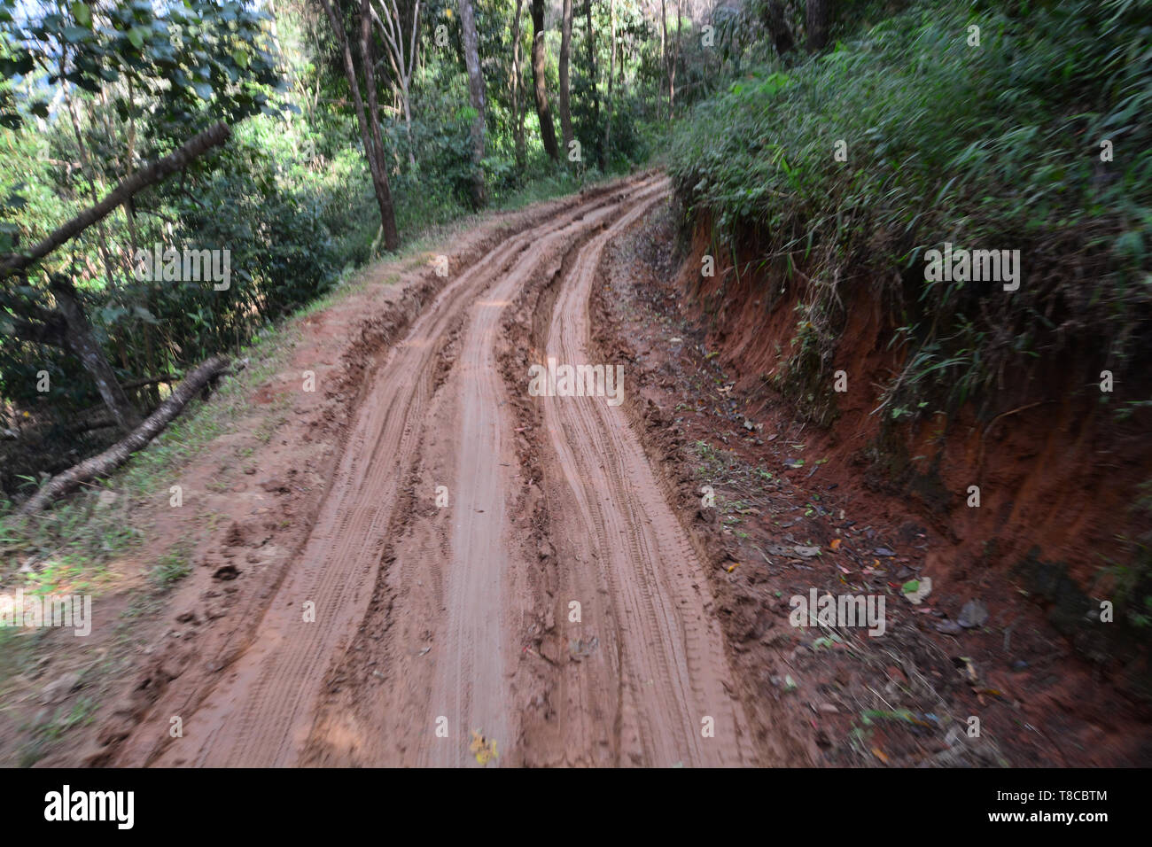 dirty broken rural road with deep tire tracks, take pictures on the car ...