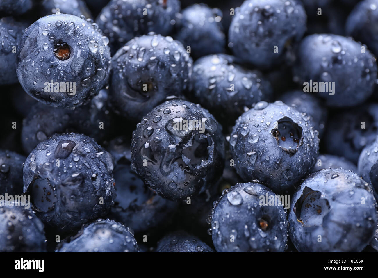 Wet clean blueberries hi-res stock photography and images - Alamy